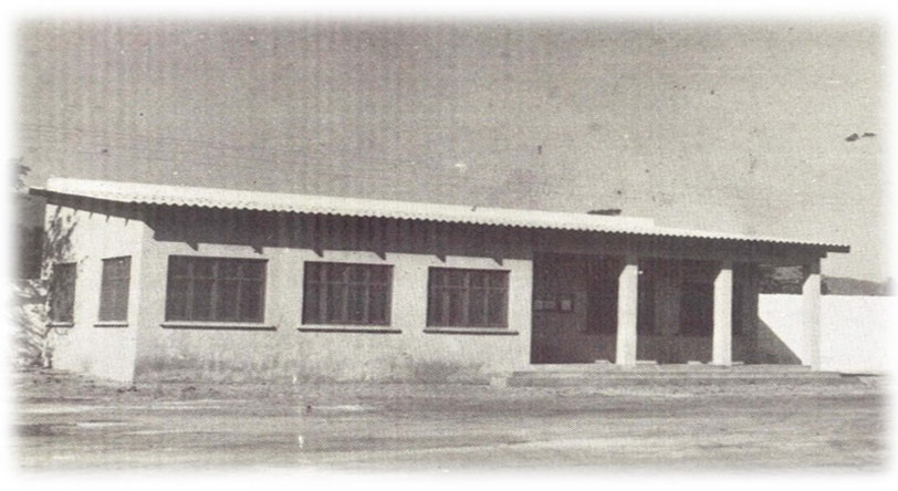 Facultad de Medicina Veterinaria y Zootecnia Acerca de la fmvz